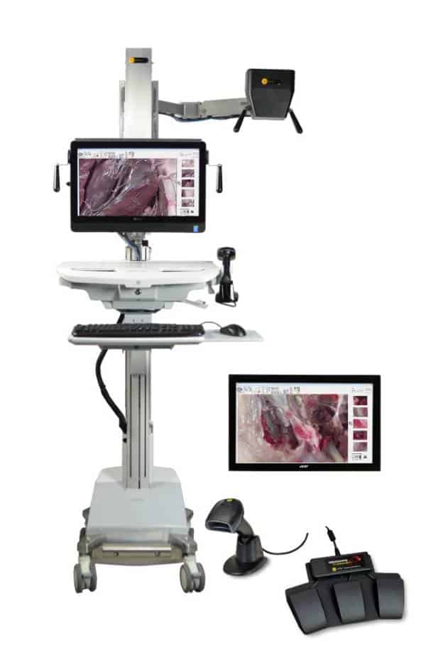 Spot PathMobile Autopsy Imaging System | DAI Scientific